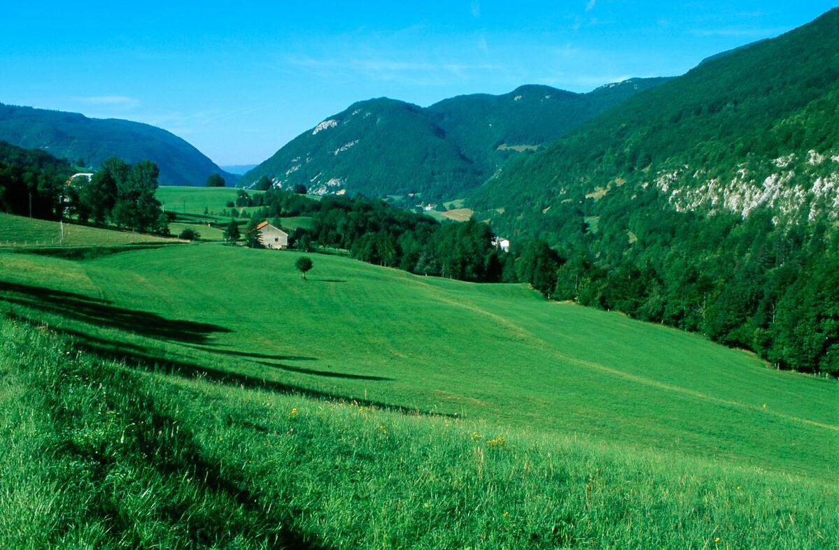 Station Monts Jura à LELEX 01410
