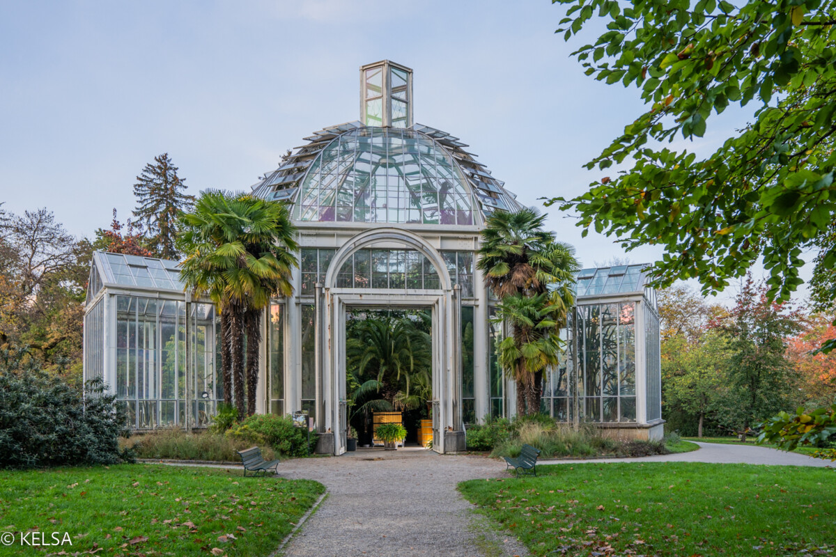 Conservatoire et Jardin botaniques (CJBG) à Chambésy 1292