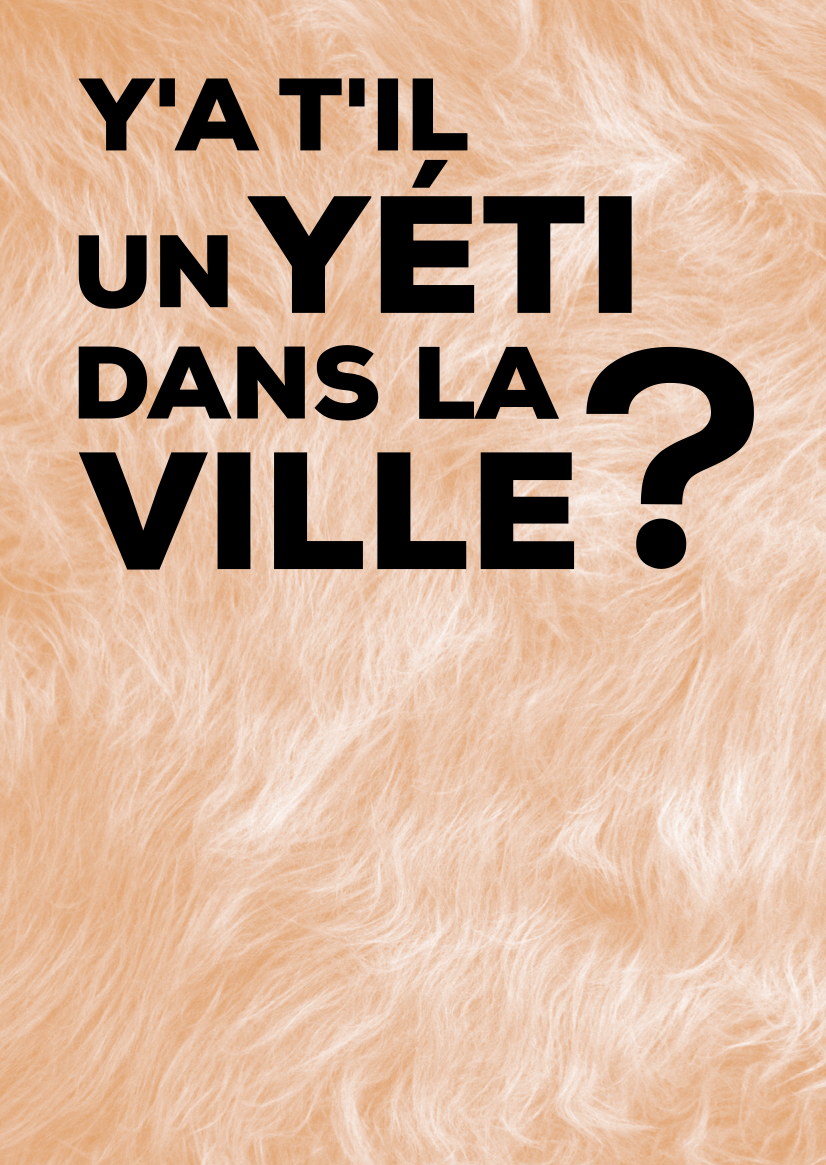 Y'a t'il un Yéti dans la ville ? | Spectacle - Marionnettes | 13 ...
