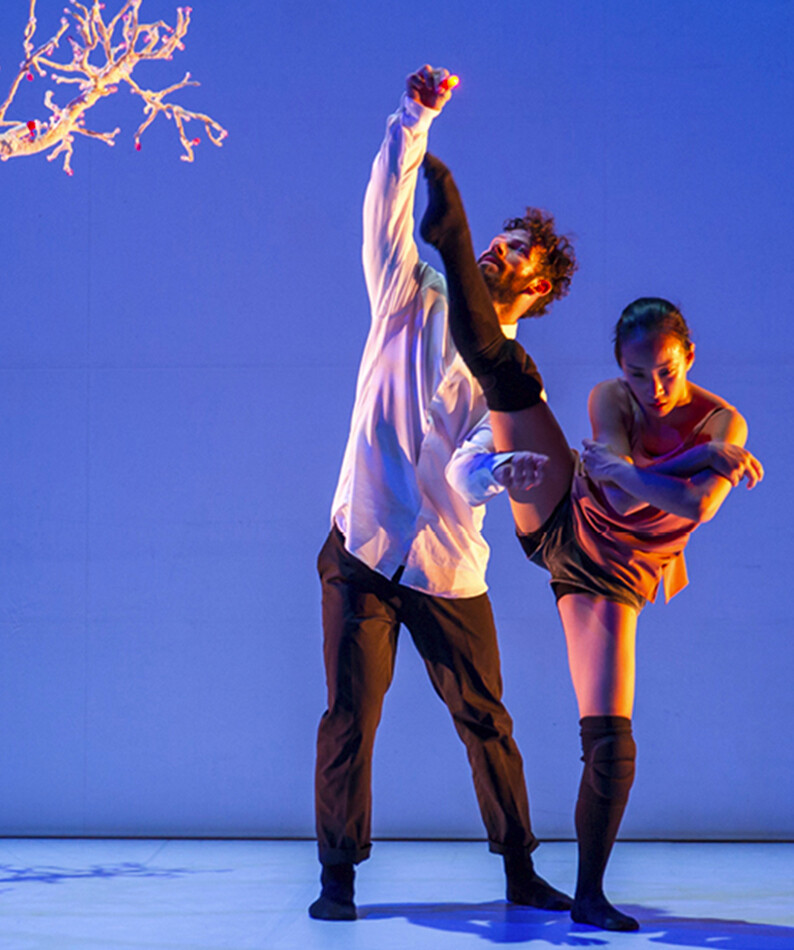 Groove’N’Move | Célébration du hip-hop contemporain à Genève