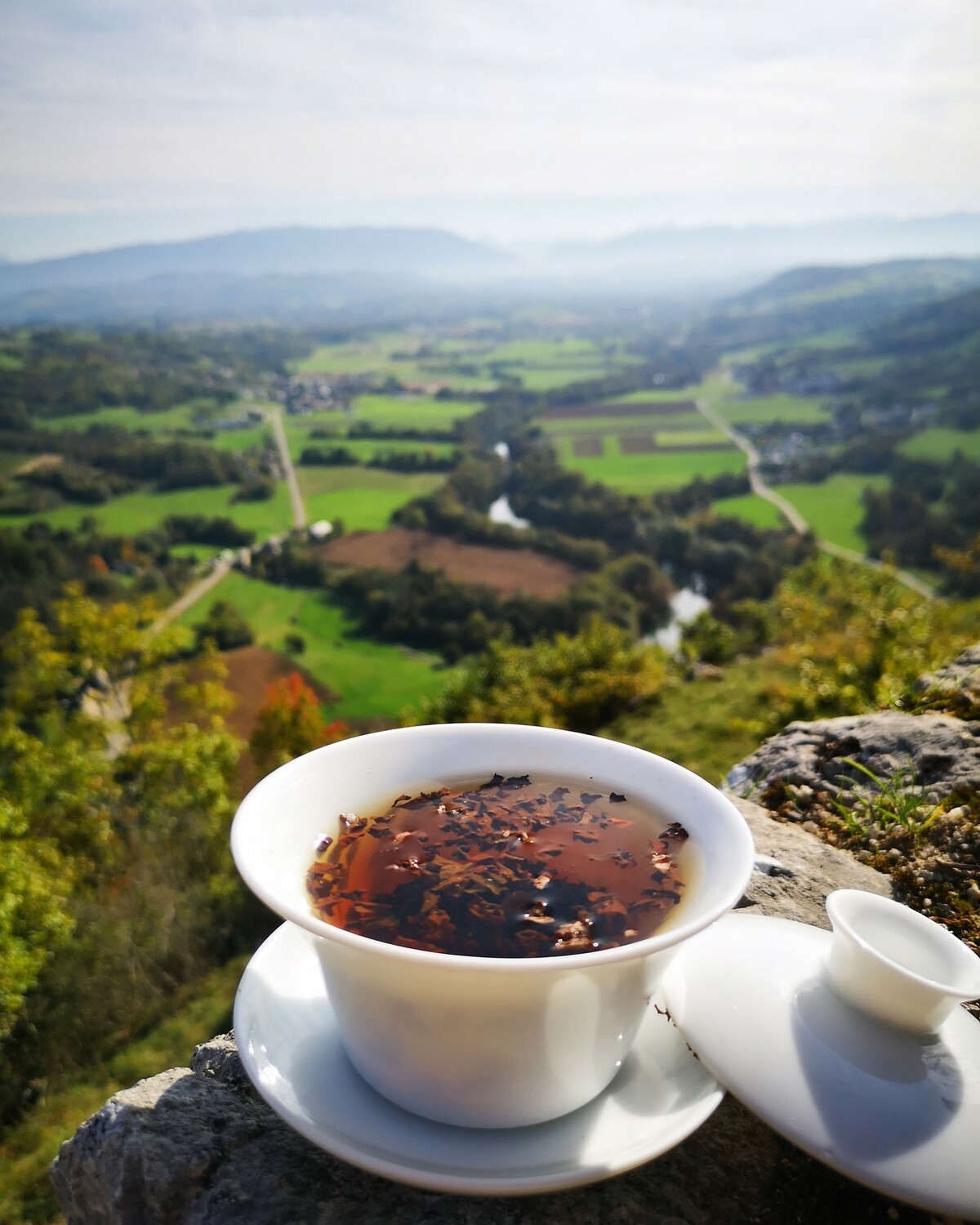 ALP’IN TEA | Thés et tisanes des Alpes